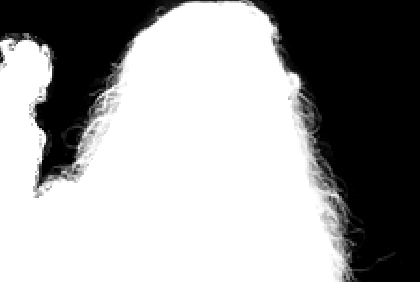 Bayesian Matting - Michael Rubinstein