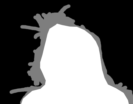 Bayesian Matting - Michael Rubinstein